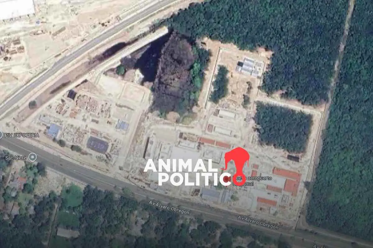 Semarnat niega permiso ambiental a la Sedena para obra militar casi ...